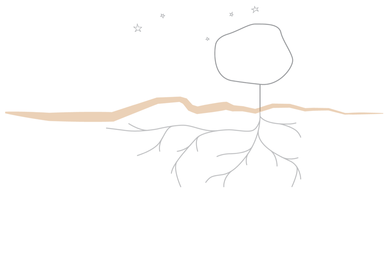 tree diagram with stars-04 - The Nutrition Supplement Dietitian